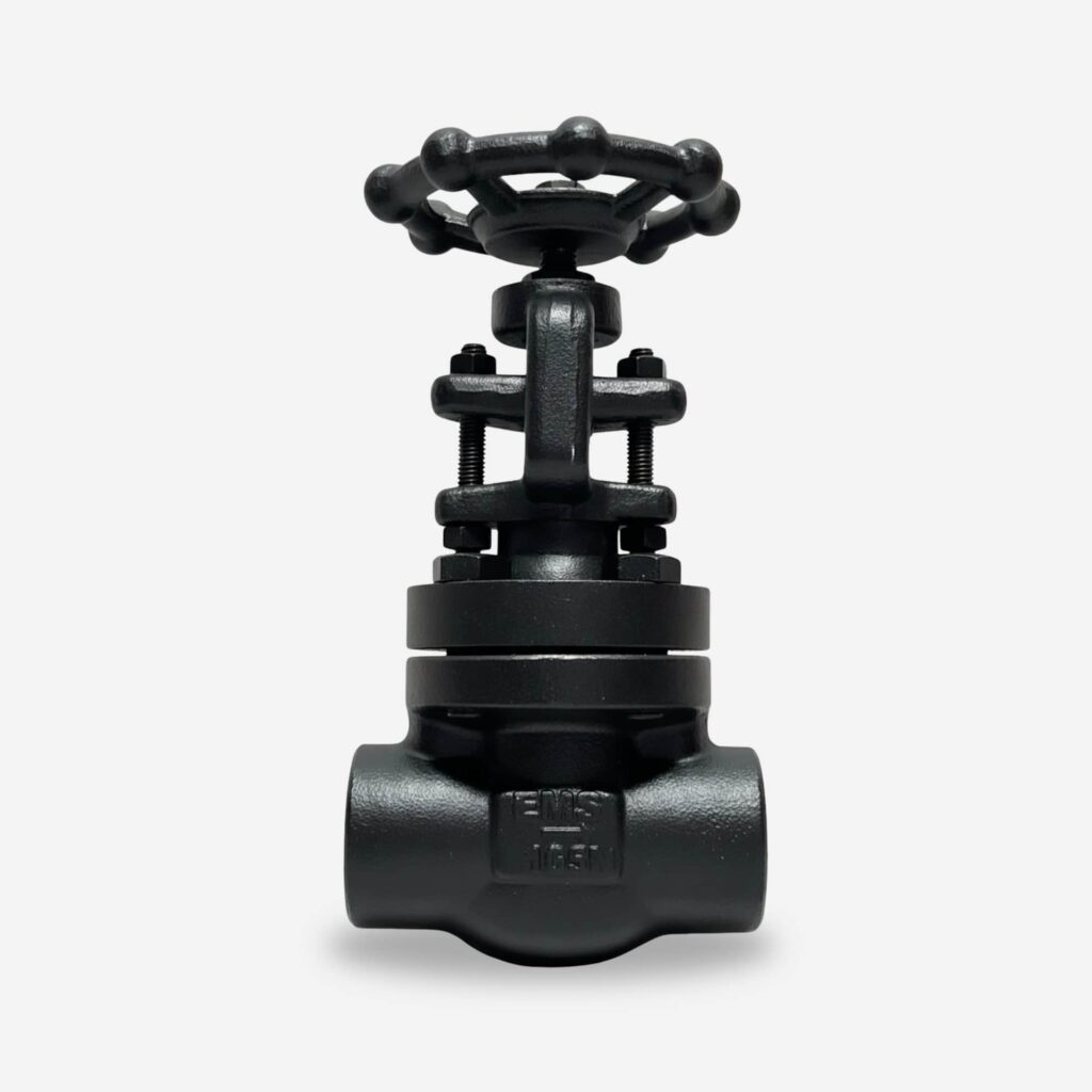 API 602 Forged Steel Valves Explained: Specifications, Pressure Classes ...
