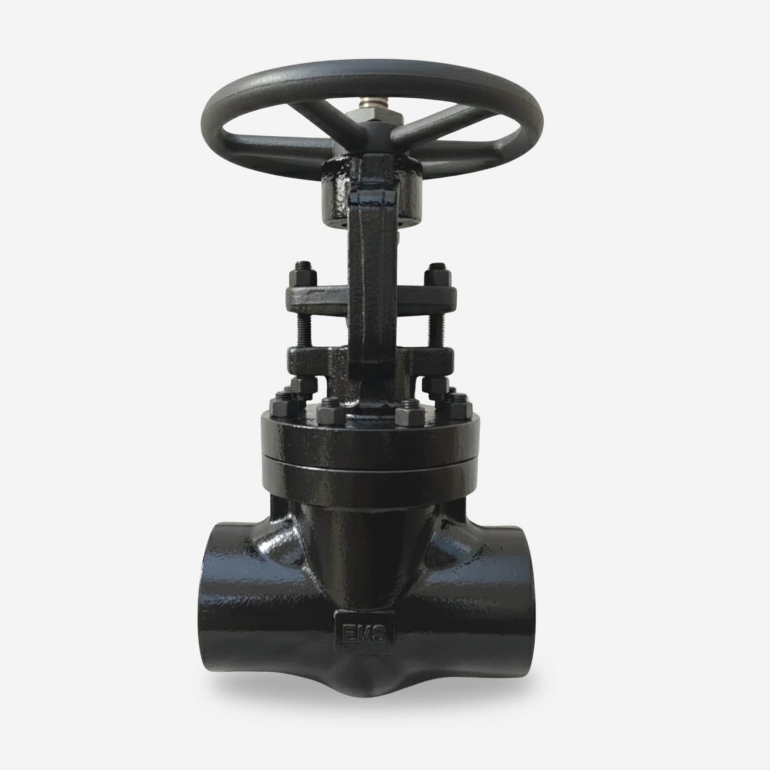 Forged Gate Valve - EMS Valve