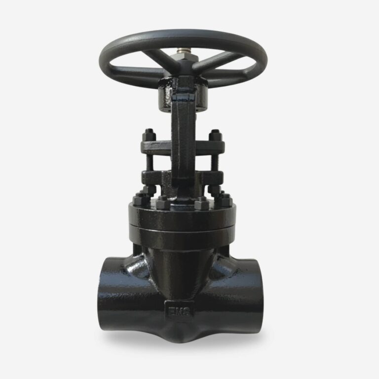 API 602 Forged Steel Valves Explained: Specifications, Pressure Classes ...
