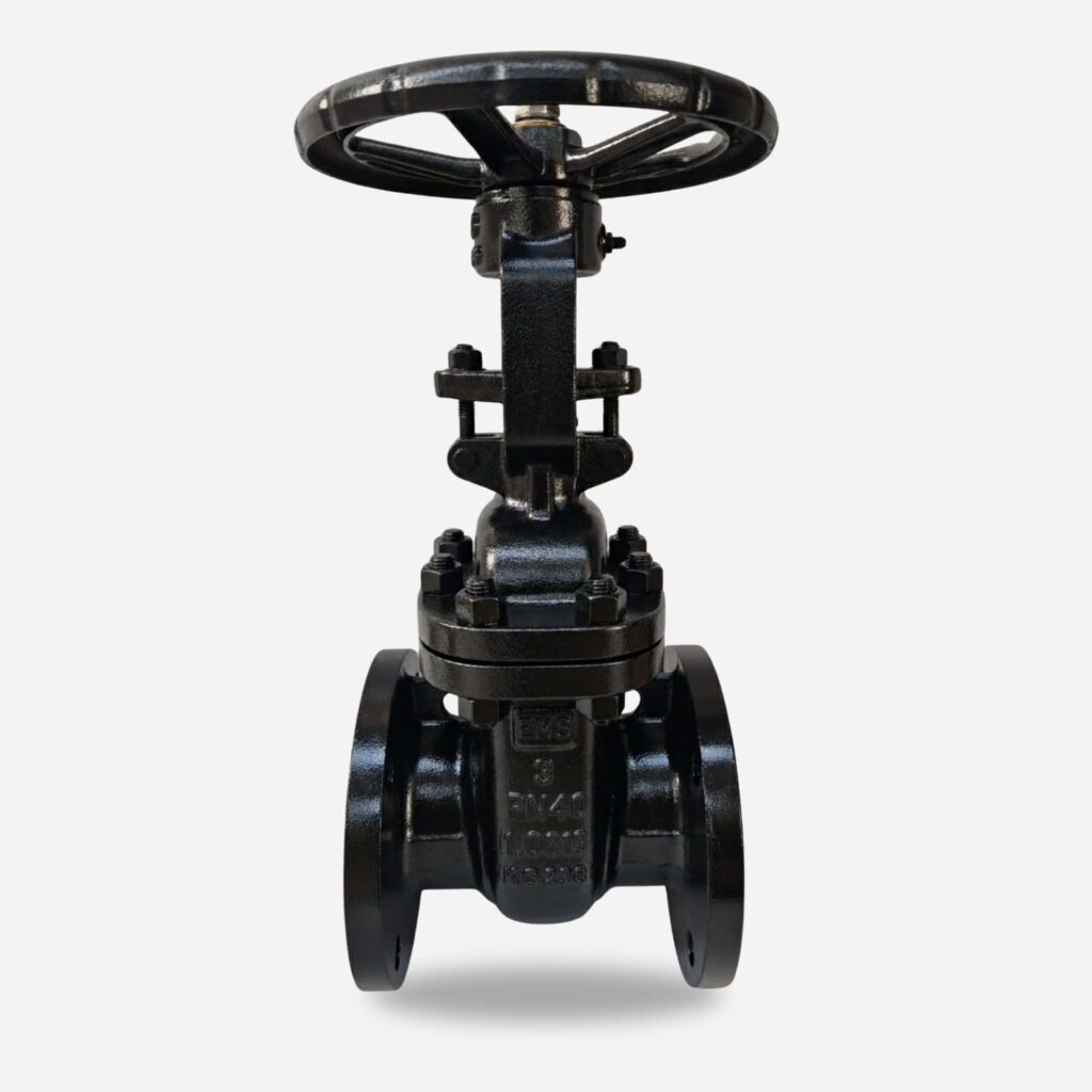 Gate Valve (DIN) - EMS Valve